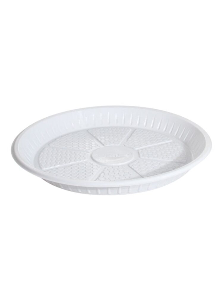 Plates & Tray – aldewanpack